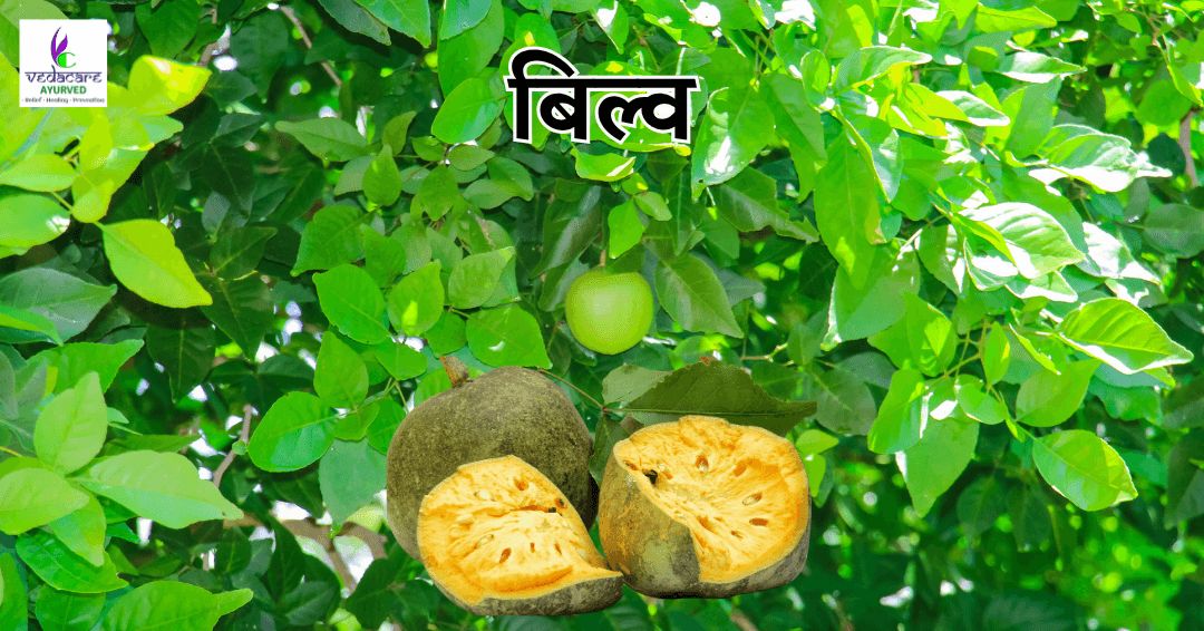 बेल (बिल्व) फळ आणि पानांचे फायदे: आयुर्वेदिक उपाय | Dr. Harshal Nemade